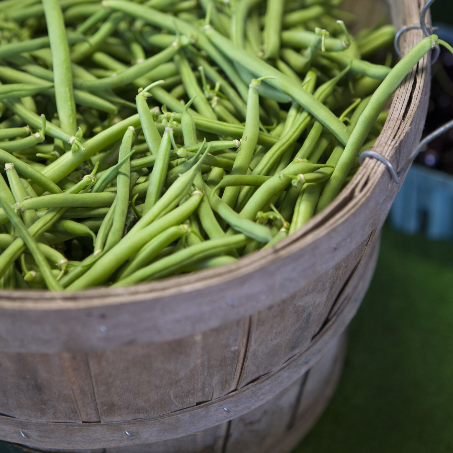 Contact Us - Harward Farms - Utah's Freshest Produce and Farm Fun