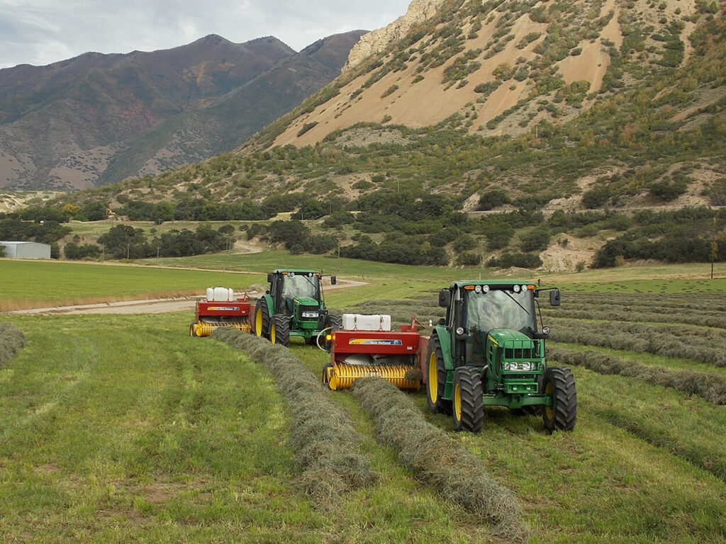Hay-4-U - Harward Farms - Utah's Freshest Produce and Farm Fun